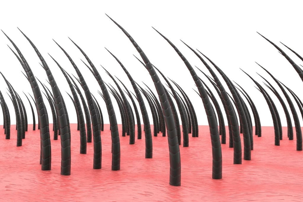 How Can I Make My Hair Regrow Naturally? – Biotin Xtreme Hair Care